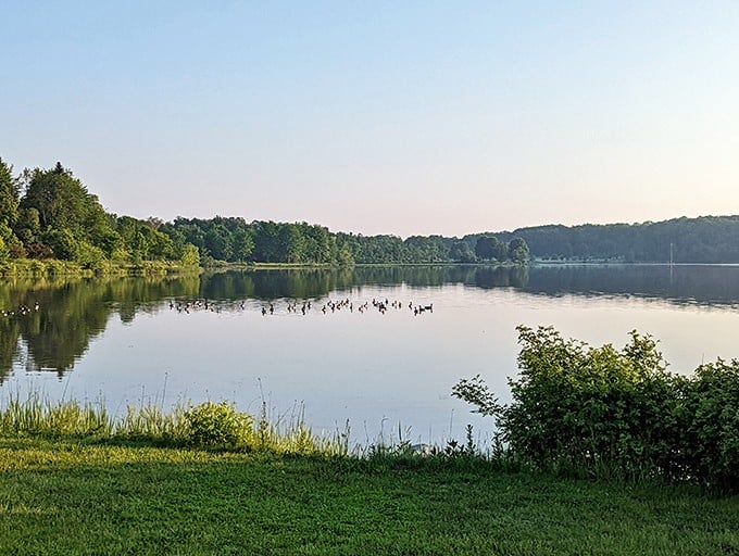 Morning tranquility at its finest&mdash;Sunny Lake's glassy waters reflect the sky while geese gather for their daily gossip session.