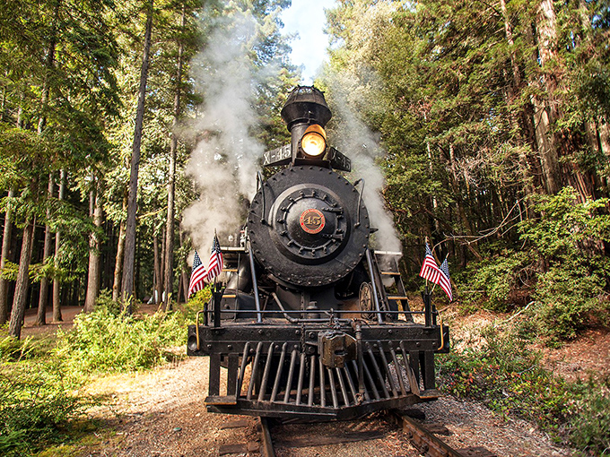 The iconic red carriages of the Skunk Train wind through sun-dappled redwood forests, offering a glimpse into California's majestic wilderness that no highway can provide.