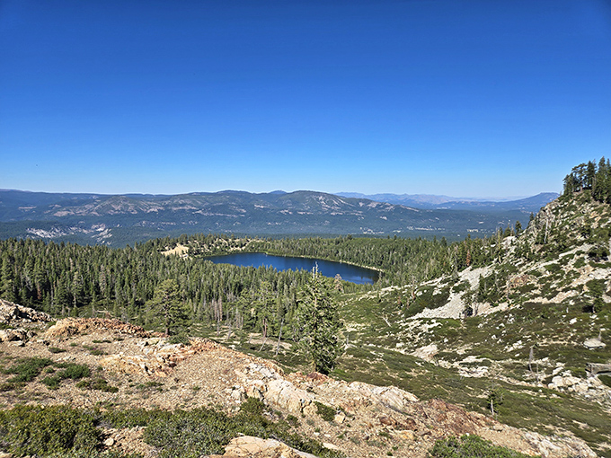 Nature's infinity pool? This alpine lake nestled among Sierra pines offers the kind of panoramic view that makes smartphone cameras weep with inadequacy.