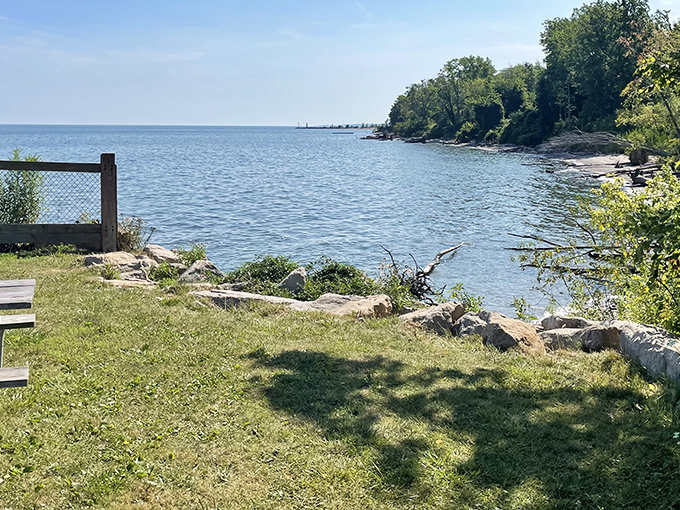 Lake Erie stretches to the horizon like nature's infinity pool, offering a front-row seat to Ohio's most impressive waterscape.