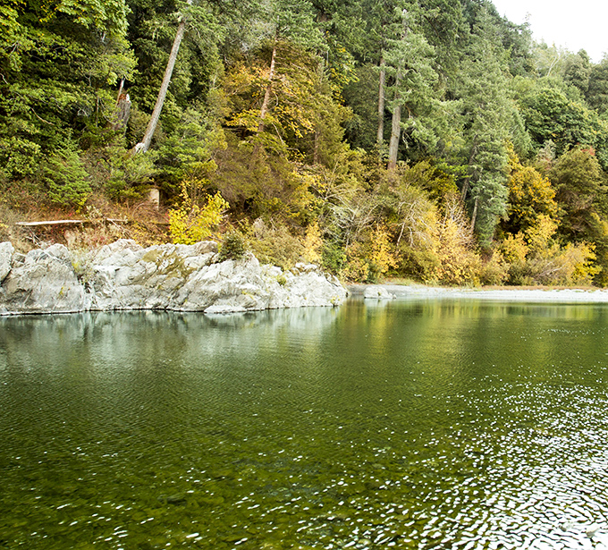 Nature's own emerald canvas where the Chetco River paints masterpieces with light and shadow. Oregon doesn't just show off here&mdash;it performs.