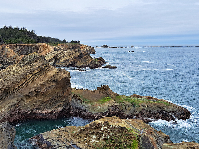 Nature's architecture on full display: Cape Arago's dramatic cliffs stand like sentinels against the relentless Pacific, sculpted by millennia of waves that never called in sick.