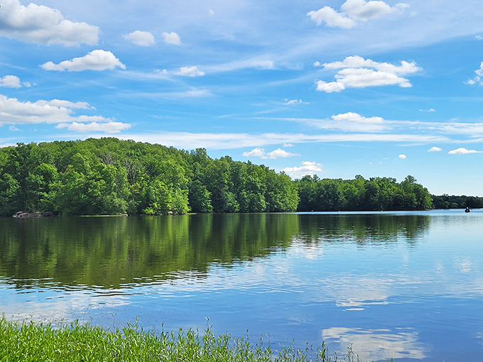 Mirror, mirror on the lake&mdash;Pinchot's glassy waters reflect Pennsylvania's lush greenery like nature's own Instagram filter, no editing required.