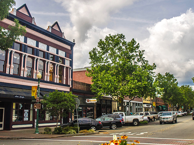 Sunset bathes Vacaville in golden light, where tree-lined streets and rolling hills create California's perfect balance of small-town charm and natural beauty.