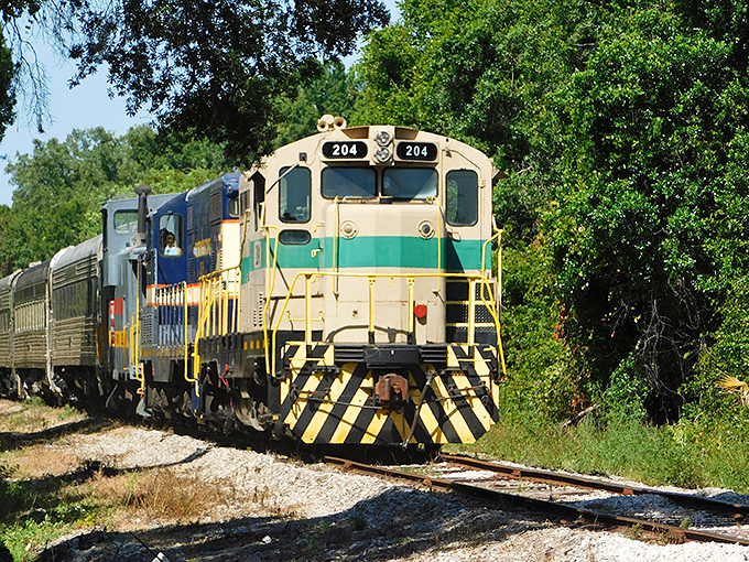 The majestic Florida Gulf Coast locomotive #1835 stands ready for adventure, its blue and yellow livery gleaming against Florida's impossibly blue sky.