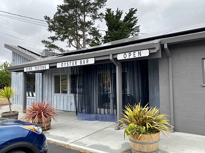 The unassuming exterior of Bodega Bay Oyster Company proves once again that the best seafood often hides behind the simplest facades. Ocean treasures await inside!