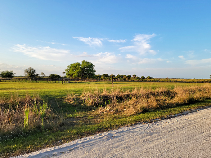 The entrance to paradise doesn't need neon lights. Just a simple sign, an open road, and the promise of wilderness beyond.