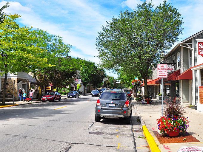 Cedarburg&rsquo;s inviting downtown street features leafy trees, cheerful flowers, and charming storefronts, creating the perfect backdrop for a leisurely stroll.