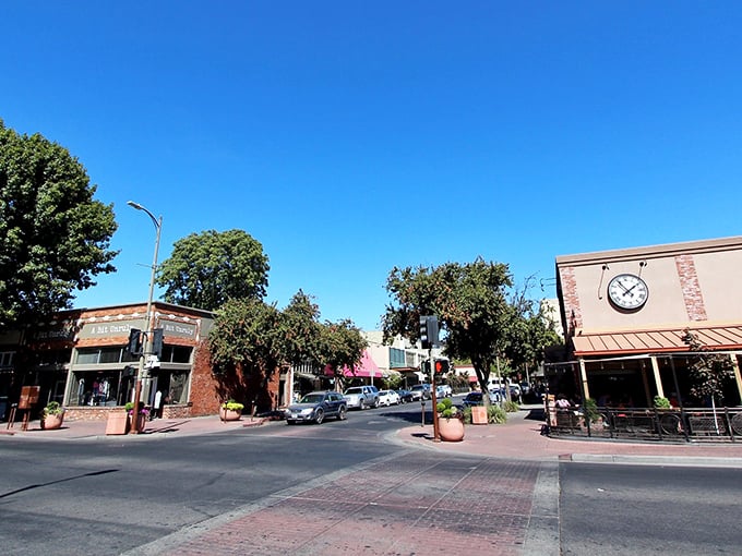 Downtown Chico greets visitors with tree-lined streets and historic brick buildings, where small-town charm meets California sunshine without the big-city price tag.