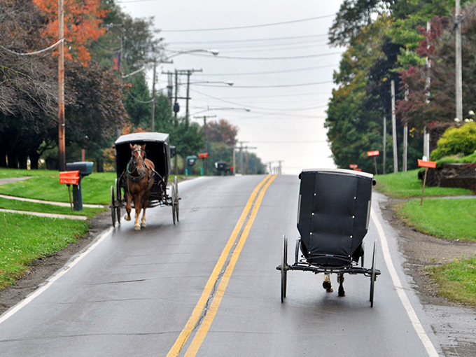Welcome to Sugarcreek, where Swiss charm meets Ohio hospitality in perfect harmony.