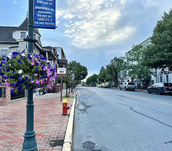 Market Street's brick sidewalks and vibrant flower baskets create that perfect small-town ambiance where your wallet feels as comfortable as you do.