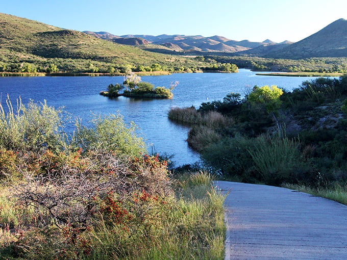 Nature's magic trick: a shimmering blue oasis nestled among desert hills. Arizona's best-kept secret sparkles like a sapphire dropped among the mesquite.