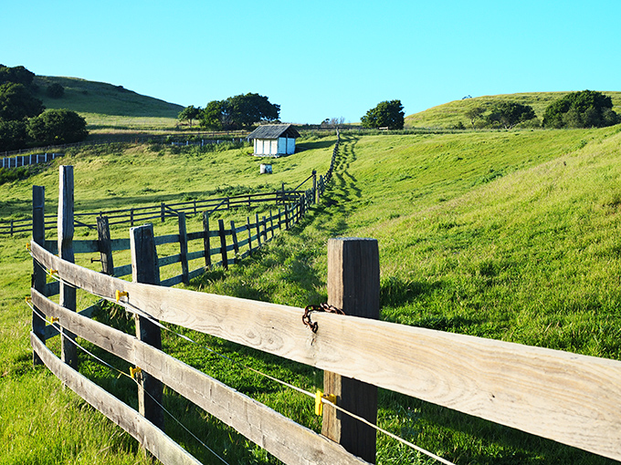 Rolling meadows and rustic fences lead to Wilder Ranch's historic buildings, where California's agricultural past meets coastal splendor.