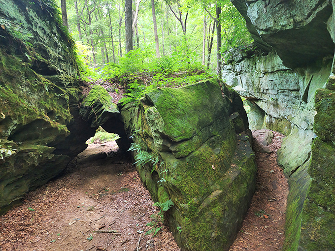 Nature's architectural marvel &ndash; moss-covered sandstone formations create natural tunnels that feel like stepping into a fantasy novel's secret passage.