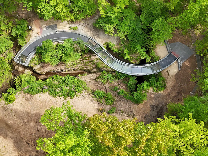 Nature's welcome mat unfurls in vibrant green as this metal footbridge invites you into a world where time seems to slow and worries evaporate into the leafy canopy.