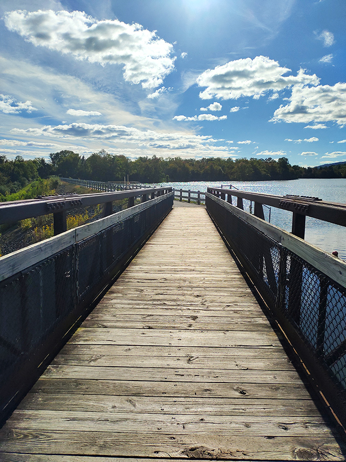 Nature's perfect postcard: a lone picnic table beneath a tree, inviting you to sit and lose yourself in the mirror-like waters of Memorial Lake.
