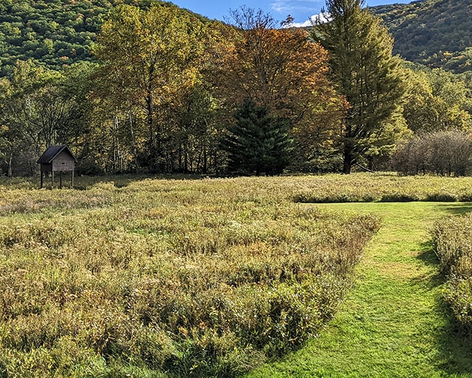 The George B. Stevenson Reservoir stretches like a mirror between forested hills, reflecting the sky so perfectly you'll question which way is up.