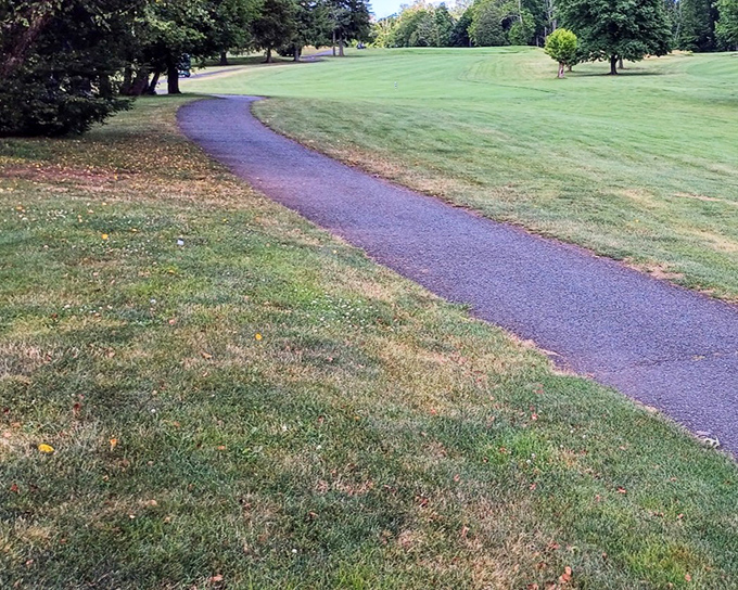 Winding paths through emerald meadows invite you to wander. Nature's red carpet treatment doesn't require a celebrity budget or fancy shoes.