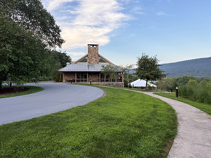 A wooden dock stretches into the emerald waters of Foster Joseph Sayers Reservoir, inviting you to pause and soak in Pennsylvania's version of serenity. 
