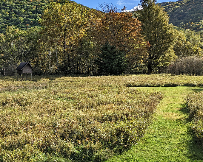The George B. Stevenson Reservoir stretches like a mirror between forested hills, reflecting the sky so perfectly you'll question which way is up.