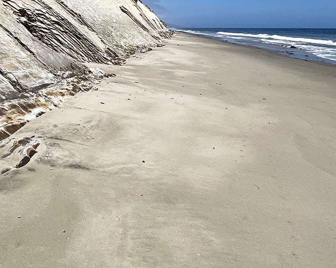 Nature's own geology museum where the cliffs meet the shore. These ancient rock formations have been perfecting their poses long before selfies were invented.