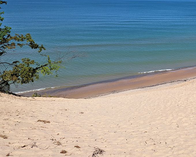 Where blue meets gold: Lake Michigan's endless horizon creates a postcard-perfect scene that no filter could improve upon at Van Buren State Park.