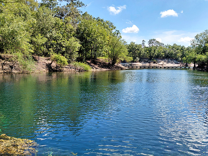 Nature's infinity pool awaits at Troy Springs, where the crystalline waters reflect Florida's blue skies like a mirror designed by Mother Nature herself.