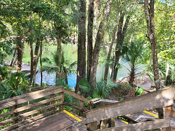 A wooden staircase descends to emerald waters framed by palms and pines &ndash; nature's version of a grand entrance to paradise.