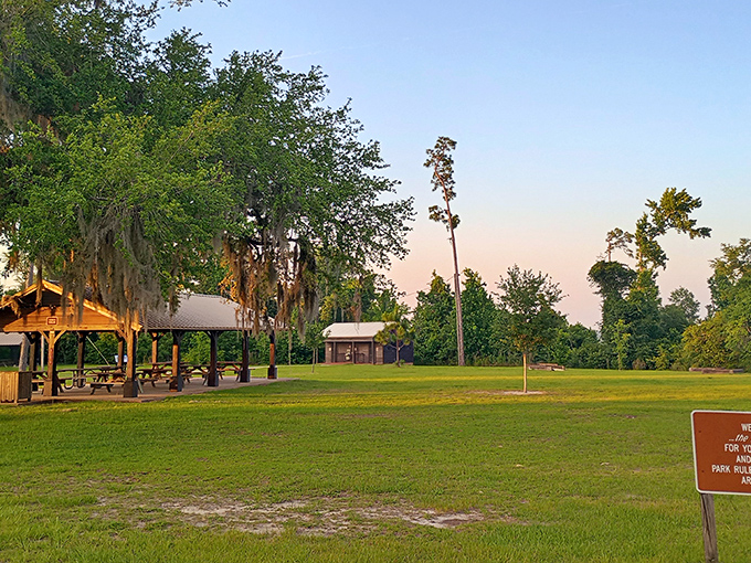 Nature's balcony awaits! These riverside benches offer front-row seats to Florida's most un-Florida-like landscape show.