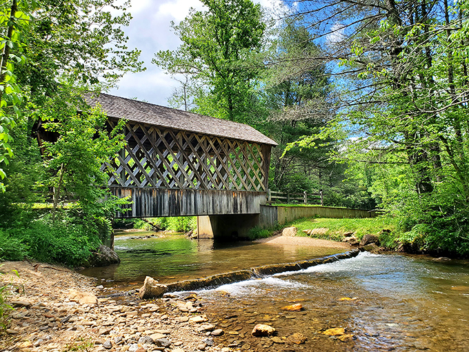 Nature's perfect lawn service at work. This open meadow surrounded by towering pines creates a scene straight out of a Bob Ross painting.