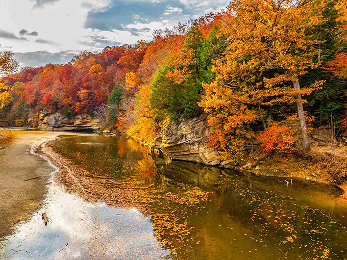 Sugar Creek's mirror-like surface perfectly captures autumn's fiery palette, creating a double dose of Indiana splendor that would make Bob Ross reach for his happy little brushes.