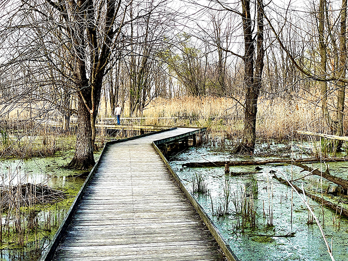 Mirror-like waters reflect nature's masterpiece at Maumee Bay's inland lake. Ohio's answer to those fancy European lakeside retreats, minus the jet lag.