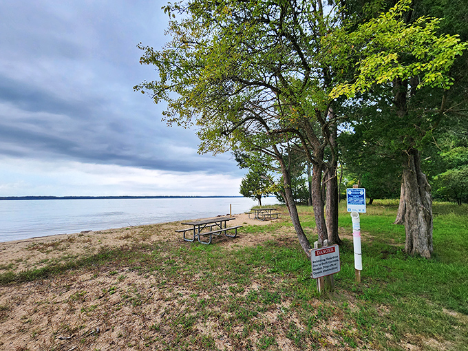Nature's cathedral awaits on this tree-lined path, where sunlight filters through leaves like stained glass windows in a woodland church.