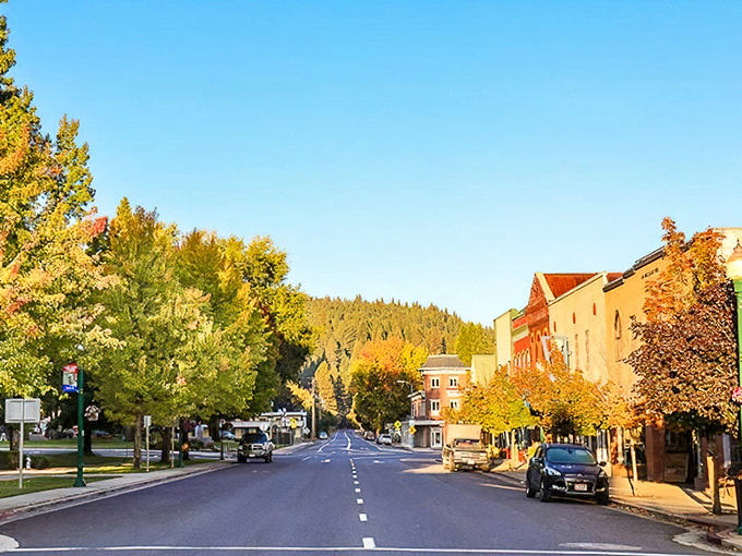 Quincy nestles into the Sierra Nevada like a postcard come to life, where fall foliage creates a patchwork quilt of amber and gold against evergreen sentinels.