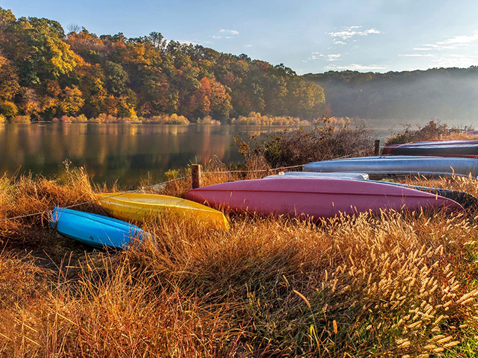 Fall's masterpiece unfolds at this serene lakeside retreat where colorful canoes wait patiently for their next adventure through Lititz's tranquil waters.