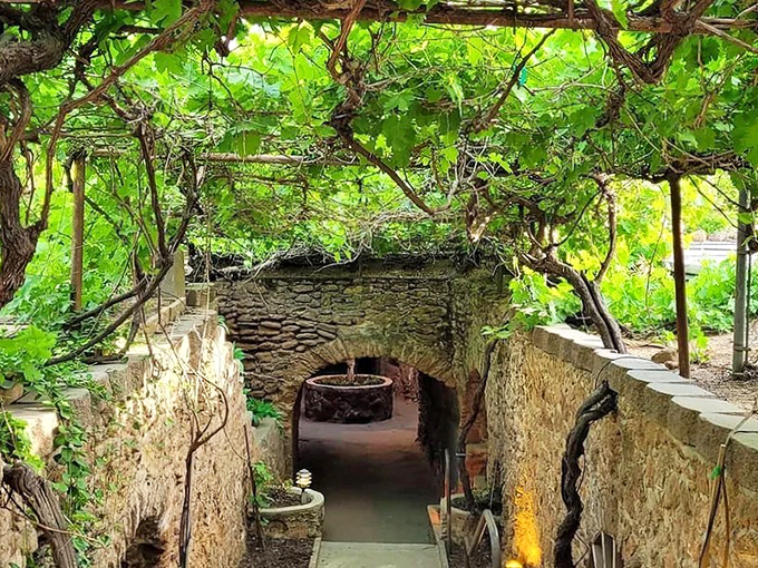 Grapevines create a living ceiling above stone pathways, offering a glimpse into this subterranean wonderland where nature and architecture embrace in perfect harmony.