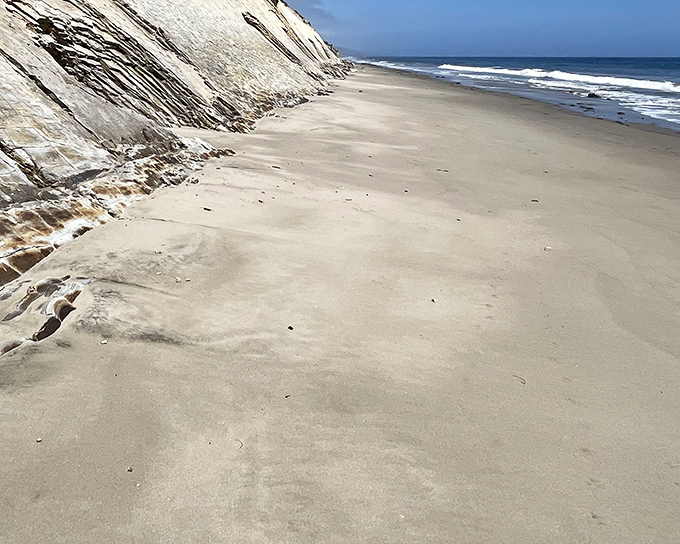Nature's own geology museum where the cliffs meet the shore. These ancient rock formations have been perfecting their poses long before selfies were invented.