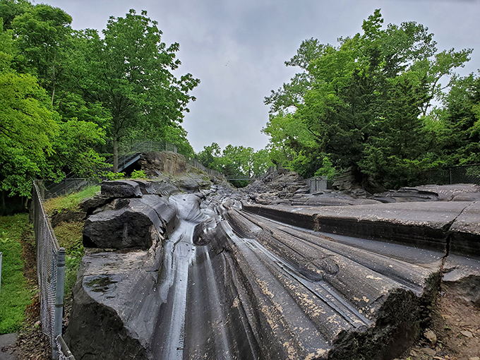 Nature's own prehistoric art gallery - deep parallel grooves carved by massive glaciers that once bulldozed through Ohio with unstoppable force.