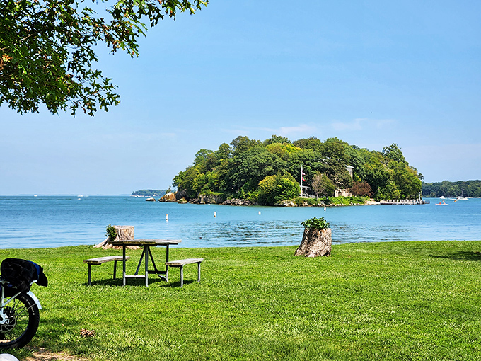 Where picnic tables become front-row seats to Lake Erie's best show. This tiny green space delivers big-time tranquility seven days a week.