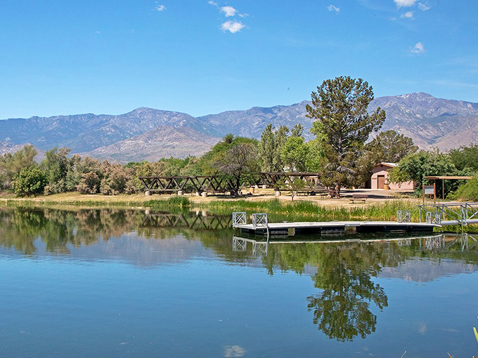 Mirror, mirror on the pond &ndash; the Pinale&ntilde;o Mountains strike a pose in this perfect reflection at Dankworth Pond. Nature's showing off, and who can blame her?