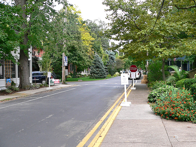 Tree-lined streets whisper "slow down" in a language your stressed-out soul desperately needs to hear.
