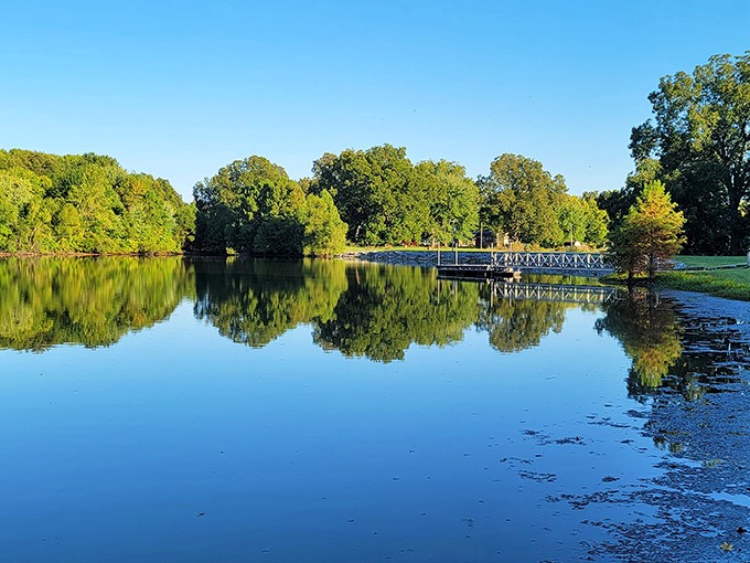 Mirror, mirror on the pond&mdash;Beall Woods' pristine waters reflect the ancient forest canopy like nature's own Instagram filter.
