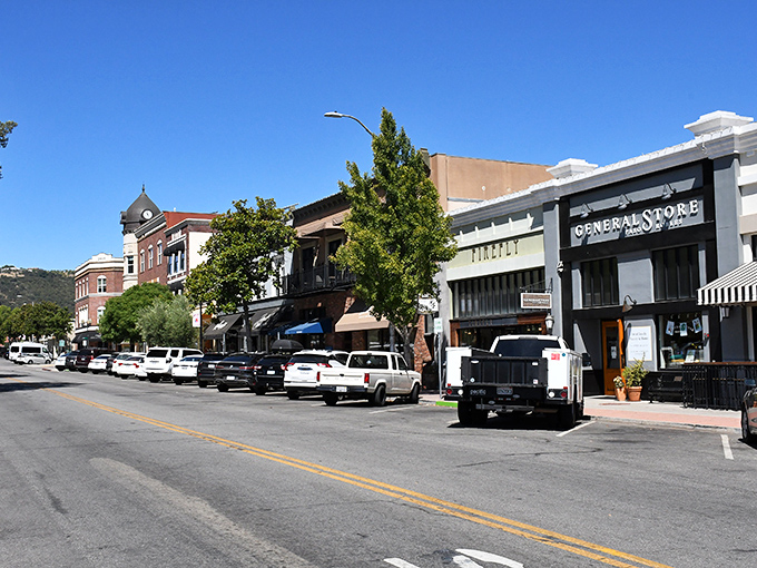 Downtown Paso Robles showcases its historic charm with brick buildings and that distinctive clock tower &ndash; small-town elegance with big-time character.