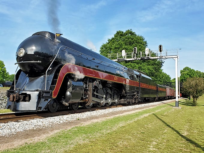 The Norfolk & Western Class J 611 steam locomotive in all its glory, puffing dramatically as it prepares to transport visitors back to the golden age of rail travel.