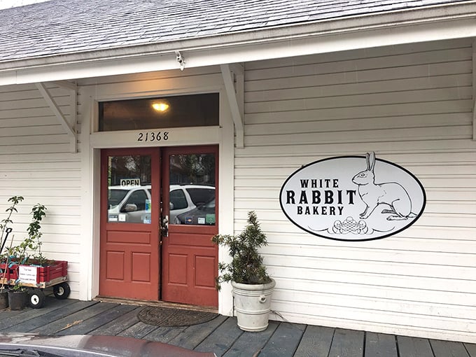 The unassuming exterior of White Rabbit Bakery beckons like a secret clubhouse for carb enthusiasts. That red door might as well be a portal to pastry paradise.