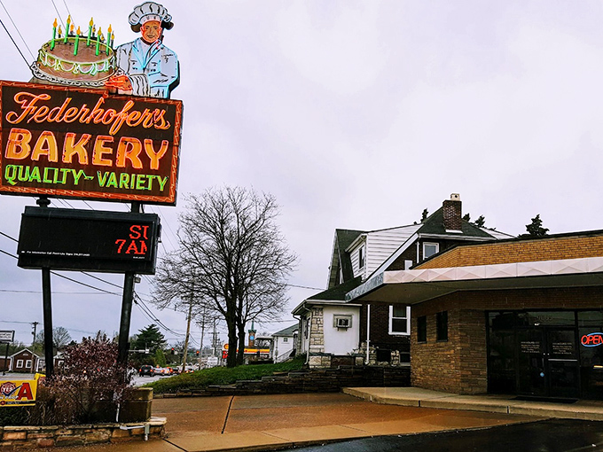 The iconic Federhofer's sign stands sentinel on Gravois Road, promising sweet salvation to all who enter this St. Louis institution.