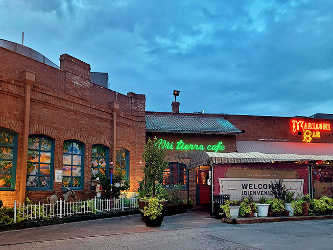 The neon signs of Mi Tierra glow like beacons in the twilight, promising culinary salvation to hungry souls wandering San Antonio's Market Square. No password required—just an appetite.
