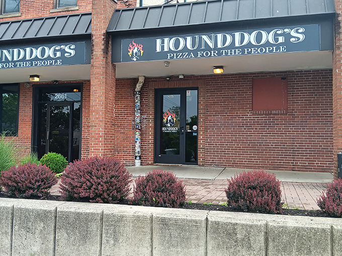 The brick fortress of flavor that is Hounddog's Pizza stands proudly on North High Street, promising culinary adventures within its unassuming exterior.