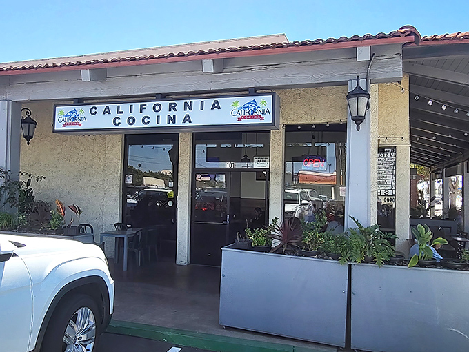 Strip mall treasures like California Cocina prove the old adage: never judge a restaurant by its parking lot neighbors.