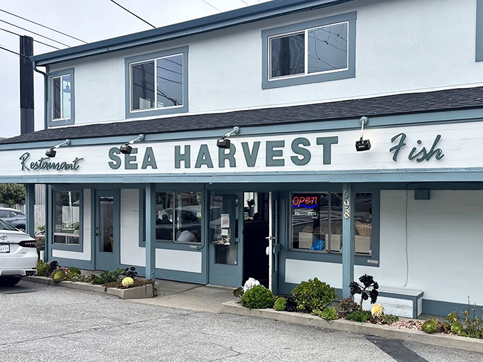 The unassuming exterior that's been fooling tourists while locals line up for the good stuff inside.